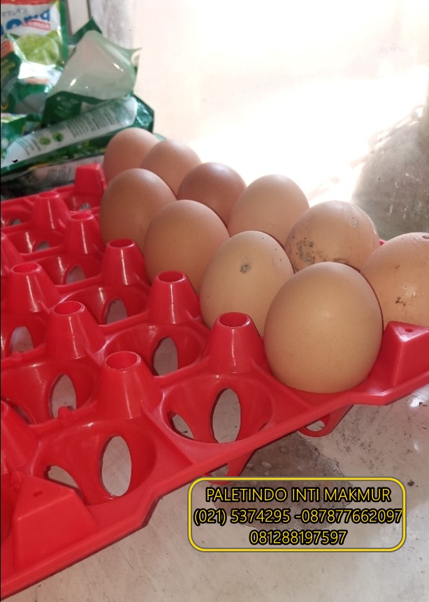 CV. PALETINDO INTI MAKMUR : Tray Telur Ayam Isi 30 Butir