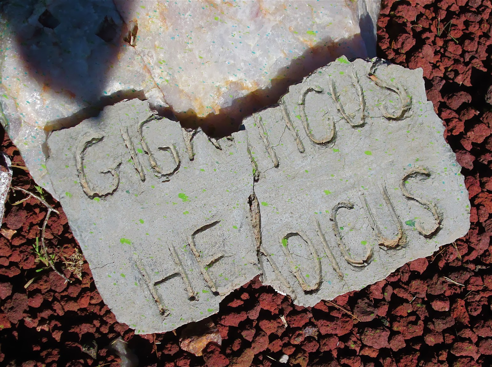 wacky tacky: Giganticus Headicus: Why the Long Face?