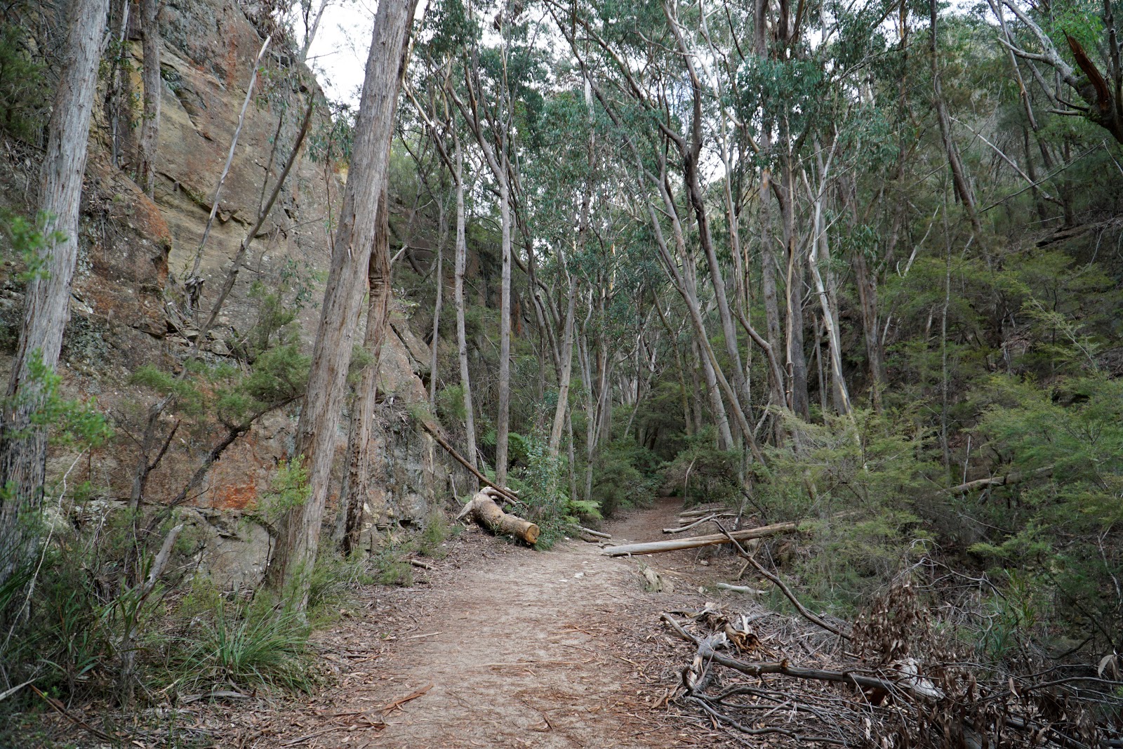 Glow Worm Tunnel Walk Track (Wollemi National Park) ~ The Long Way's Better