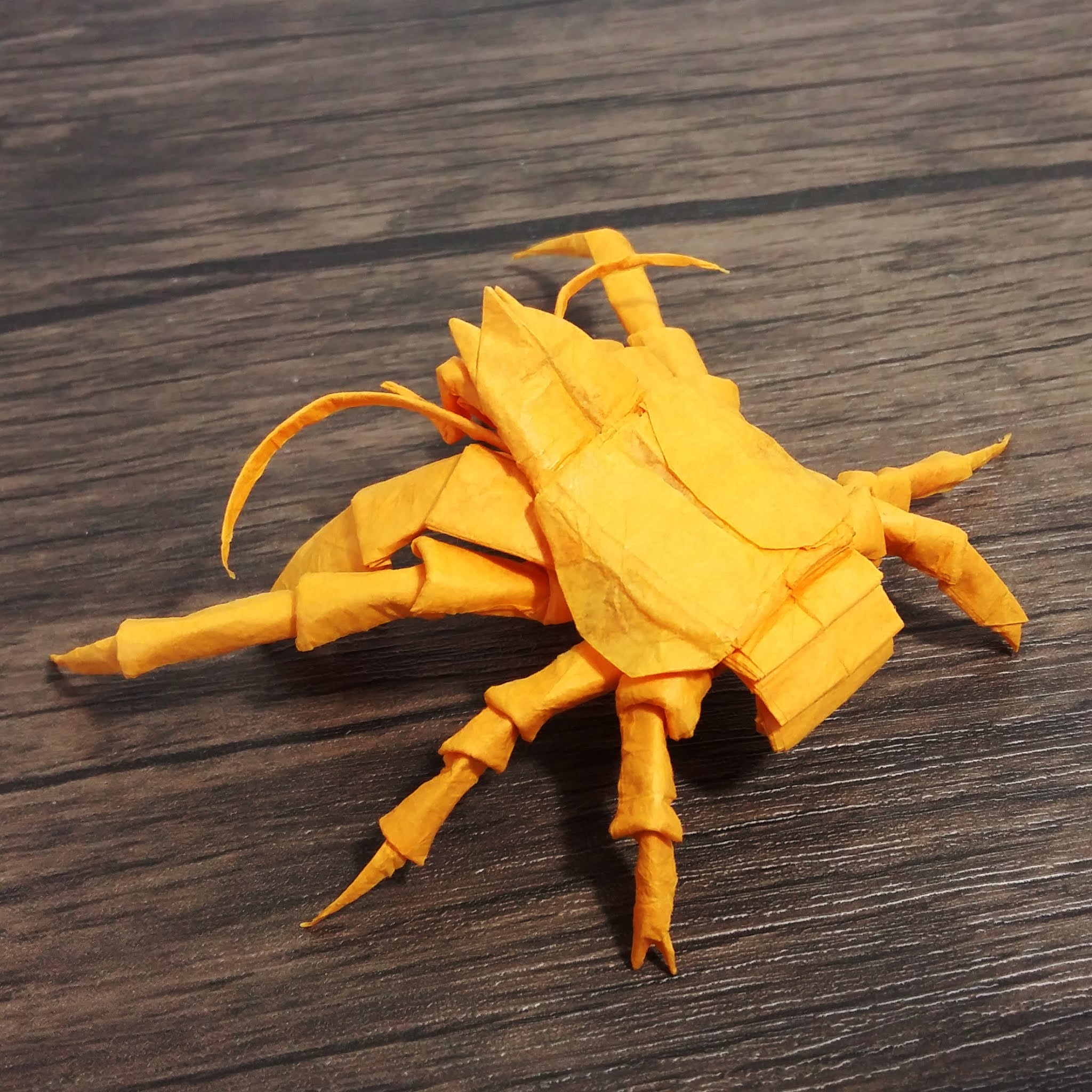 Origami Coconut Crab