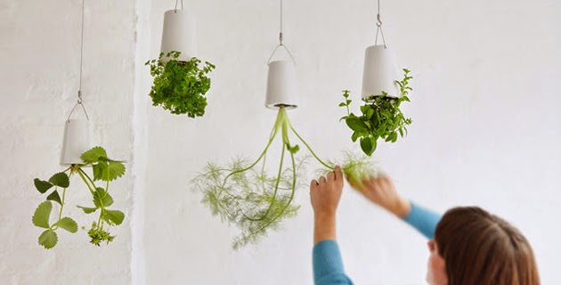 PLANTER WALL @ TANAMAN DINDING ~ Rumah Idaman