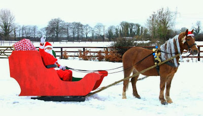 Annaharvey Farm: Santas Farm