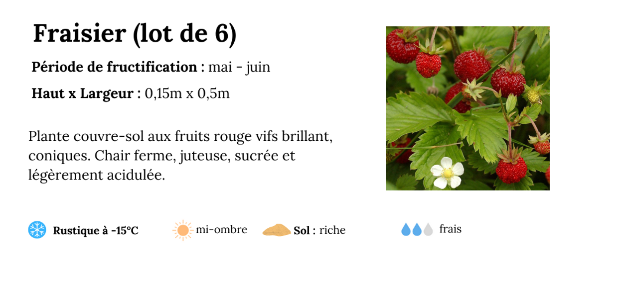 Petits fruits