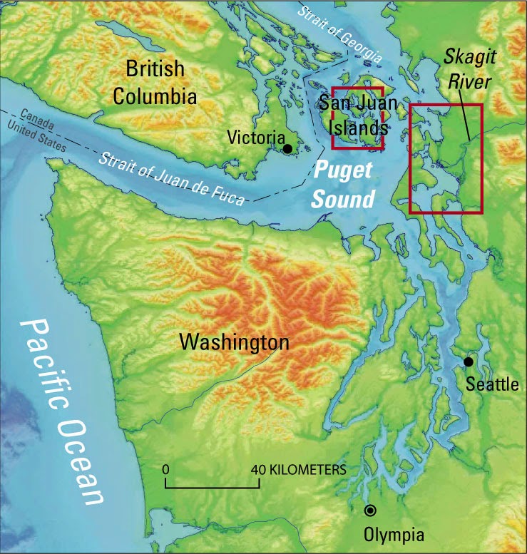 GIRLS PEARLS POWDER: PNW Week: The Puget Sound and The Ballard Locks