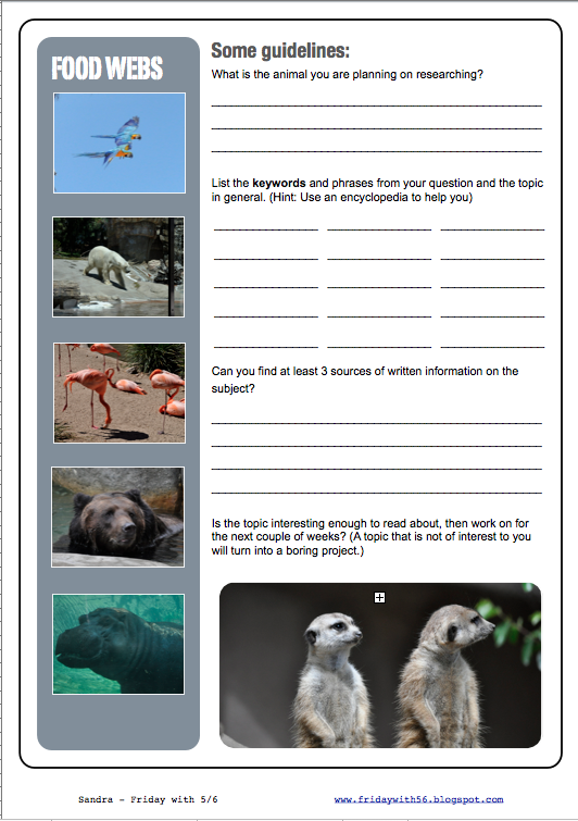 Friday with 5/6: Food Web Project