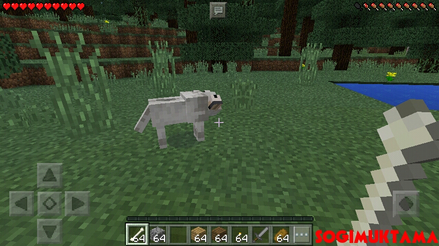Z.S.GK: MENJINAKKAN WOLF DAN OCELOT DI MINECRAFT