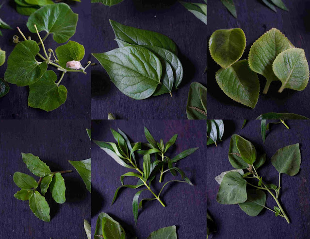 Wild Green Fritter - A Homemaker's Diary