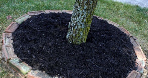 Condo Blues: How to Make a Brick Tree Ring on Uneven Ground