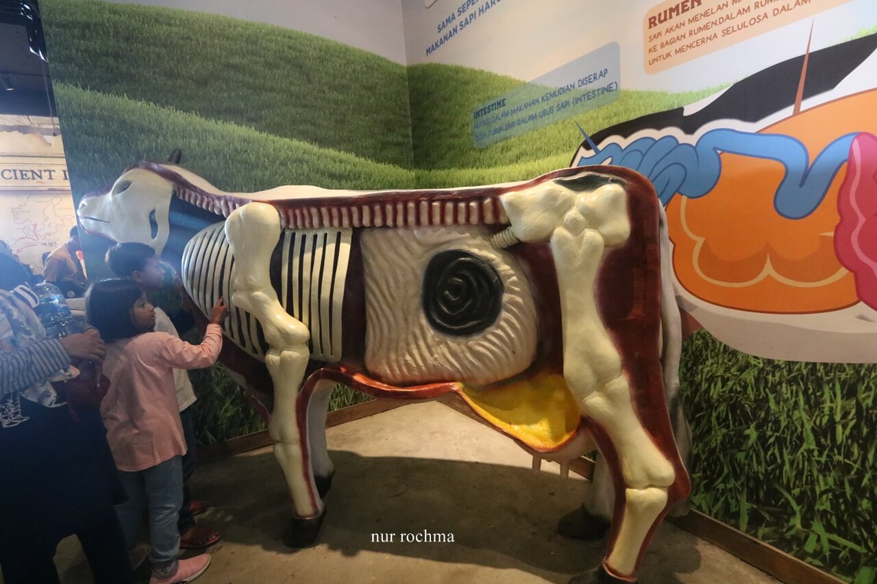 Musim Liburan di Cimory, Prigen: Mengenal Peternakan Sapi hingga Hasil ...