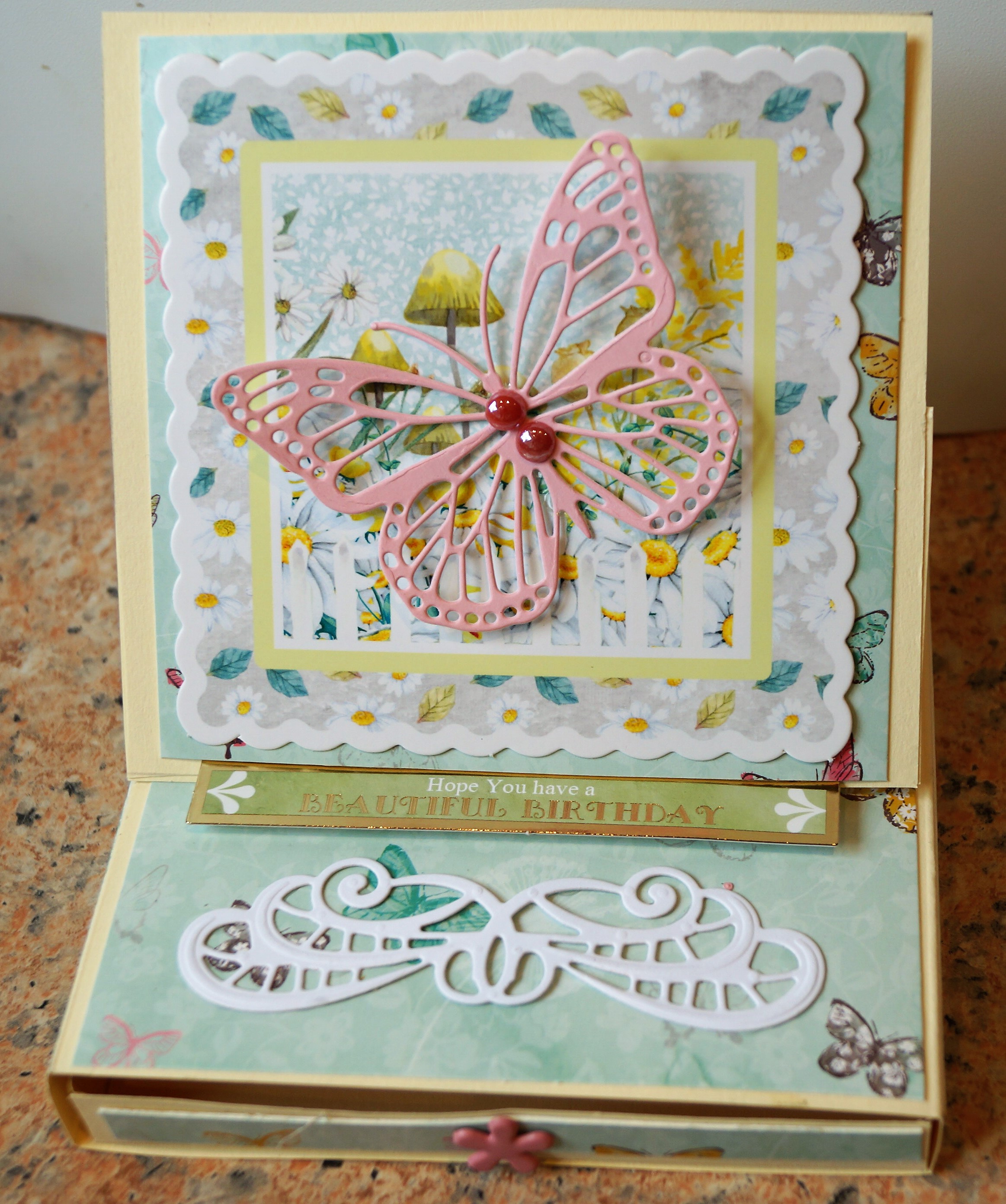 Onions and Paper: Butterfly Box