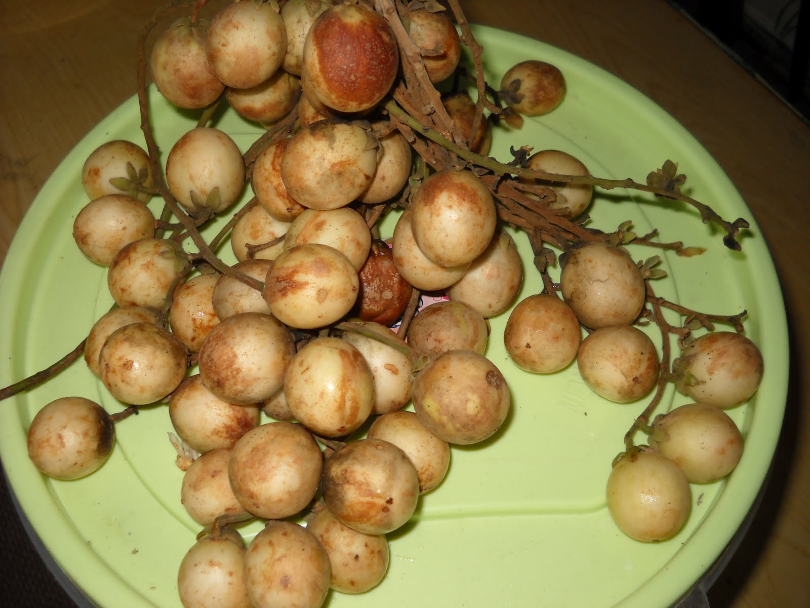 KENALI POKOK SAYANGI POKOK: SAYUR LEMAK KULIT BUAH RAMBAI