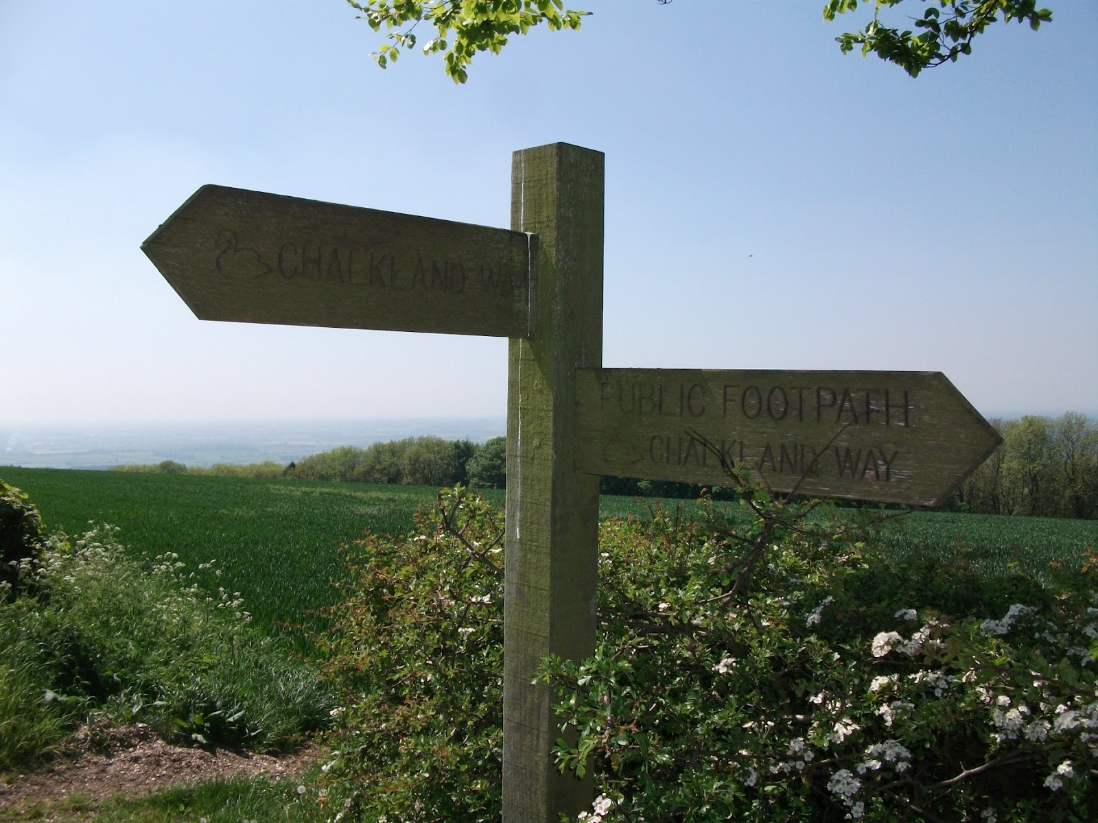 Mike Dobson: The Chalkland Way - 28th May 2012