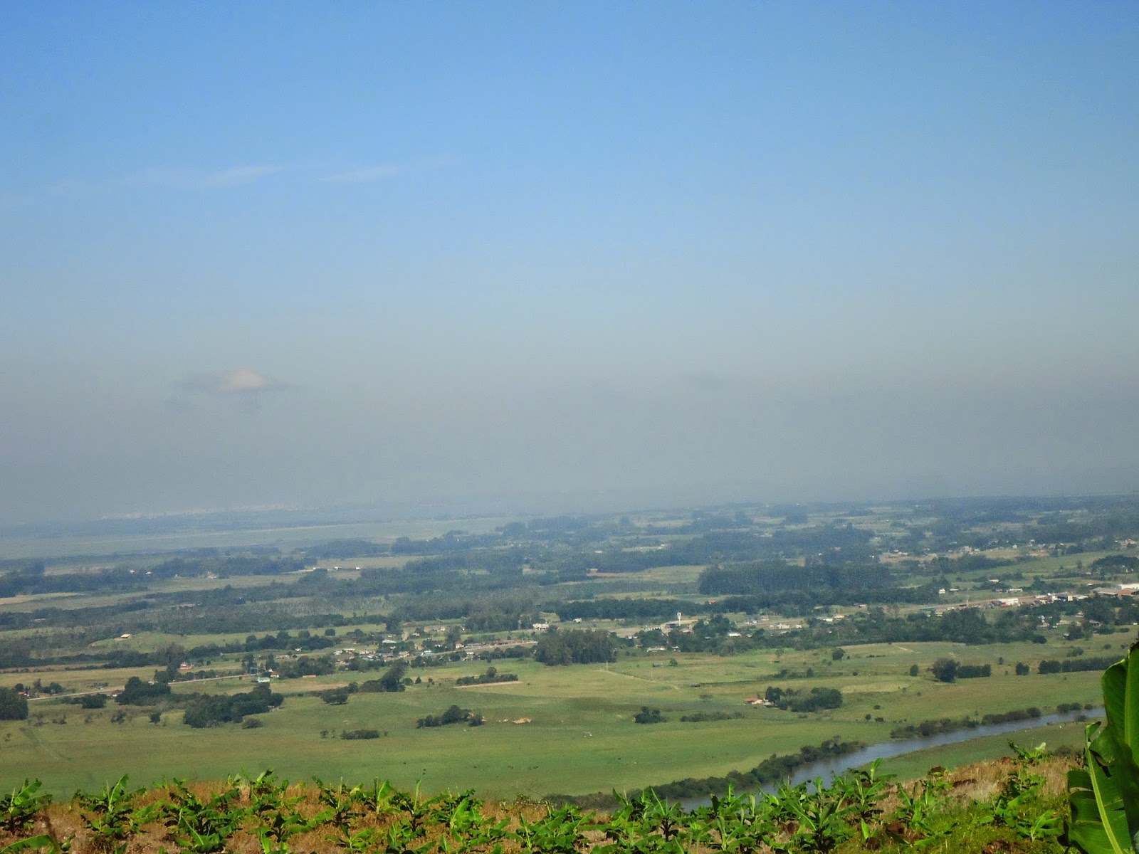 Lycengraulis: Lagoa Itapeva, litoral norte RS