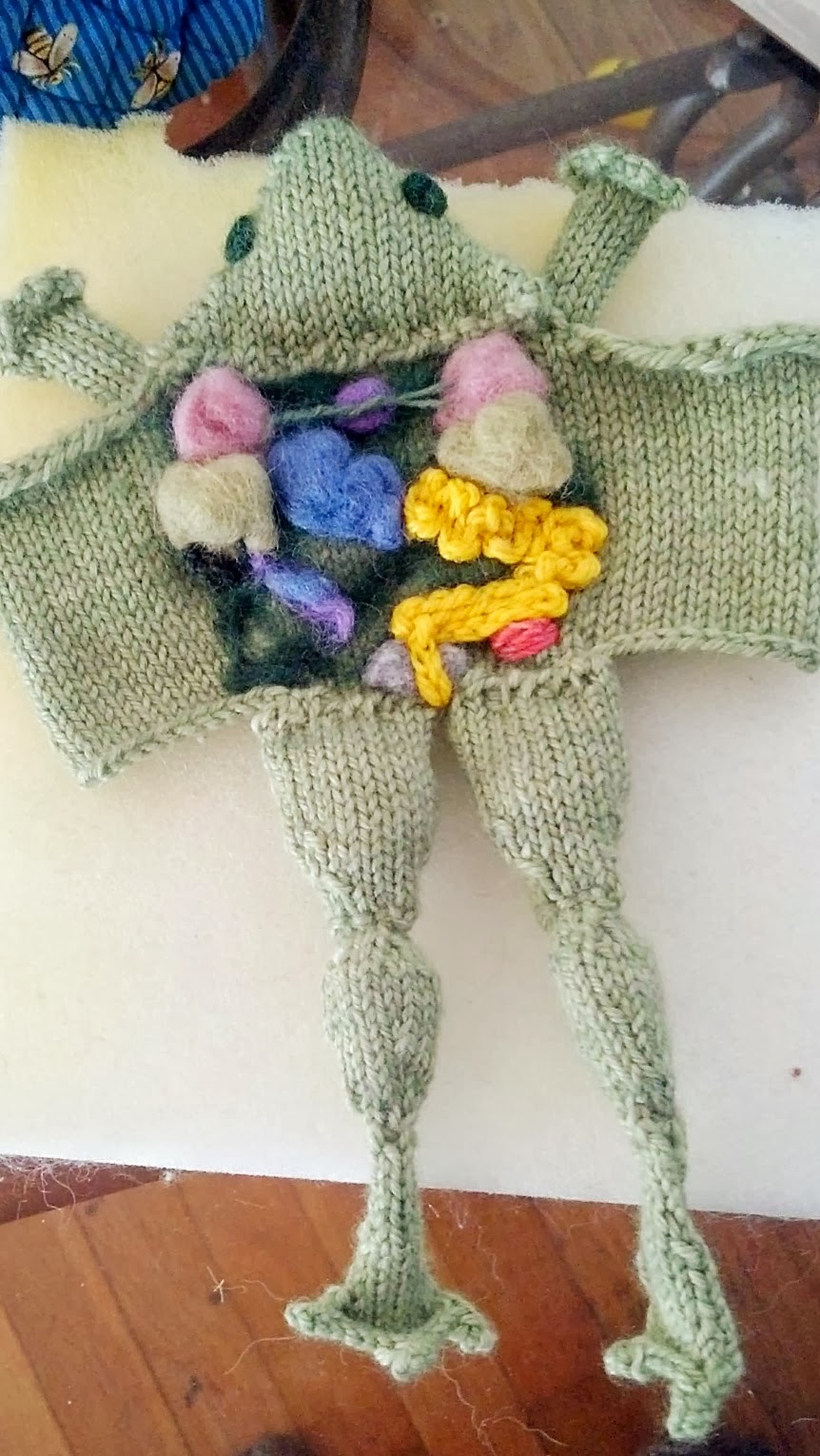 Neeleys Knits: Knit Dissected Frog