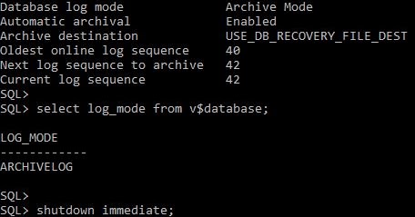 Tutorial IT Point: Disable Archive log mode