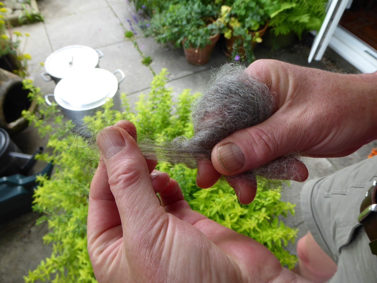 Wool - Tribulations of Hand Spinning and Herbal Dyeing