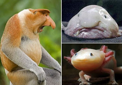 Phantoms and Monsters - Real Eyewitness Cryptid Encounter Reports