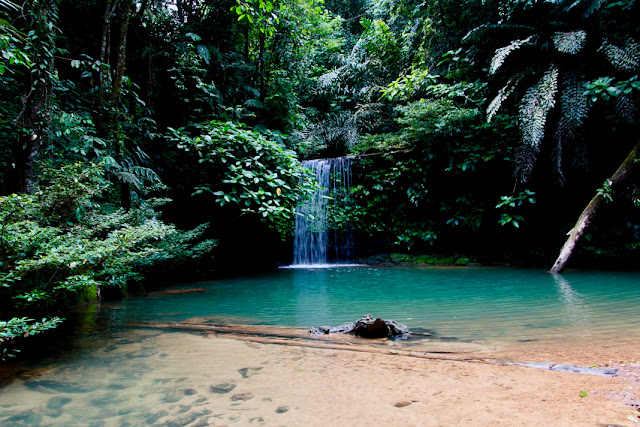 Every Day Is Special: July 15 – His Majesty the Sultan's Birthday in Brunei