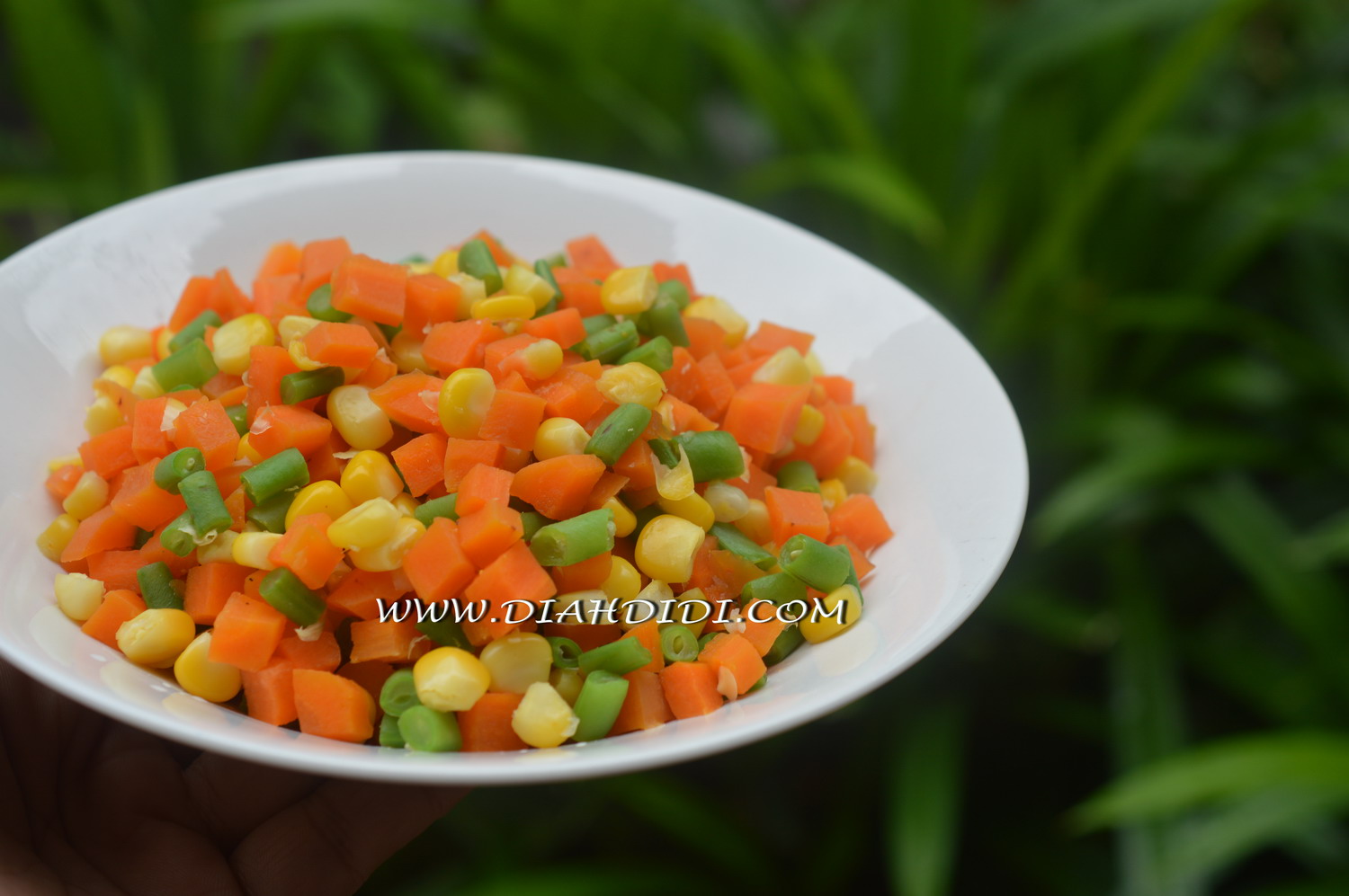 Diah Didi's Kitchen: Tips Membuat Mix Vegetables Homemade
