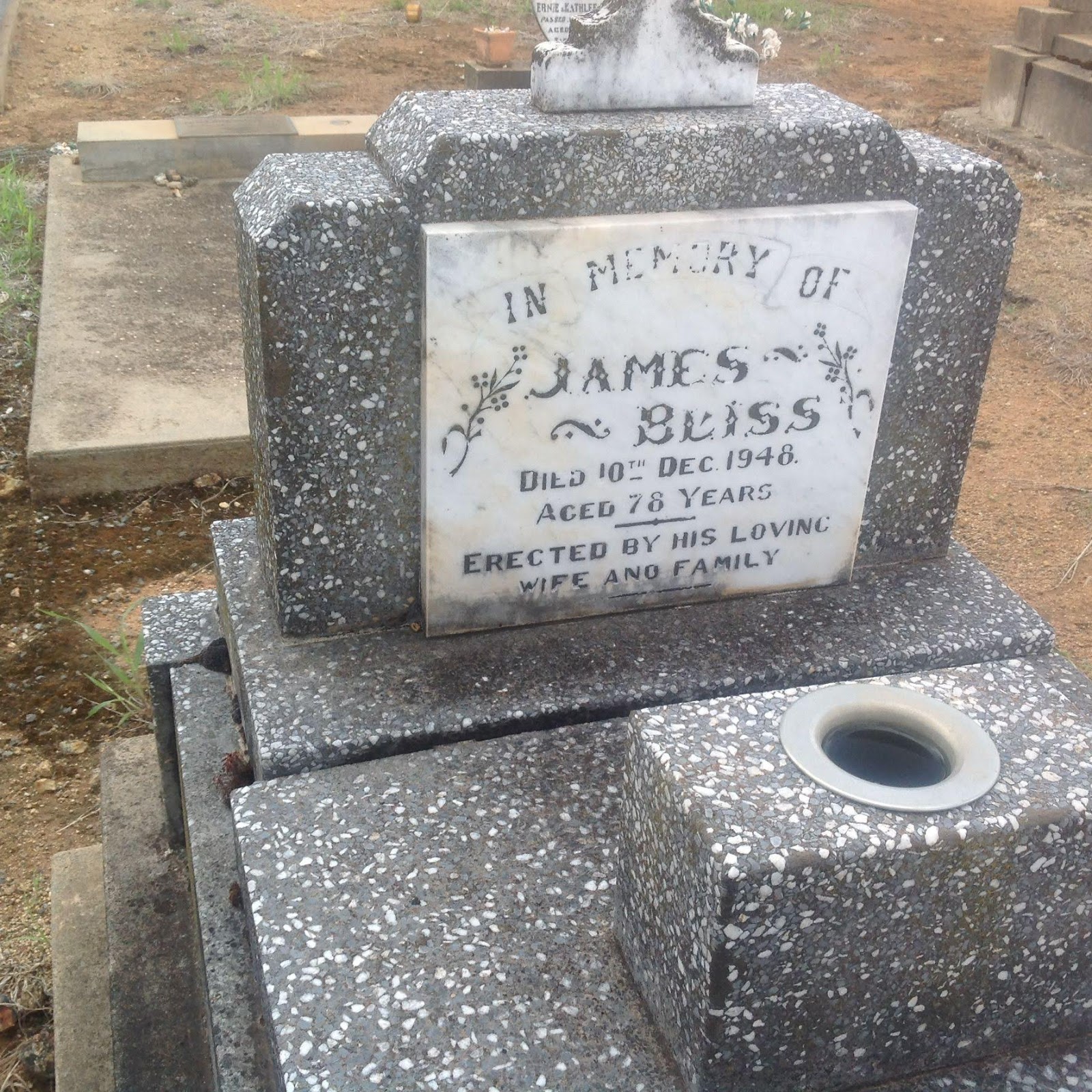 The History Of Matt: Children of George and Sarah BLISS, Yass and ...