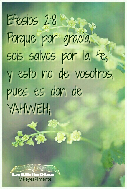 Efesios 2:8