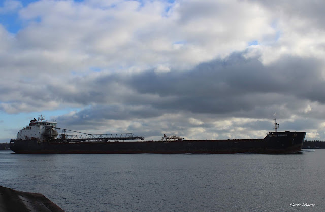 Carlz Boats: Last River Run - Part 1: Self Unloader ALGOMA MARINER