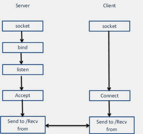 Poking through Packets: Playing with the sockets