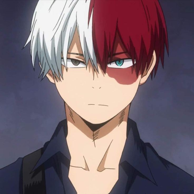 Aparência Todoroki shoto- Boku no Hero