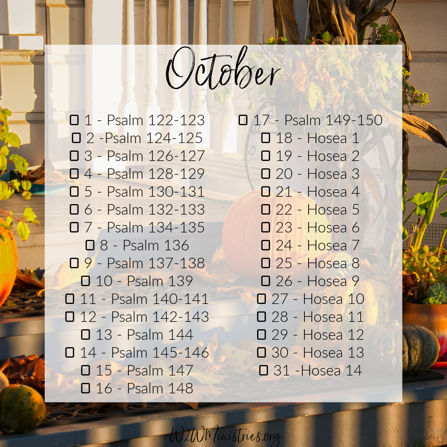 Woman to Woman: One Year Bible Reading Plan