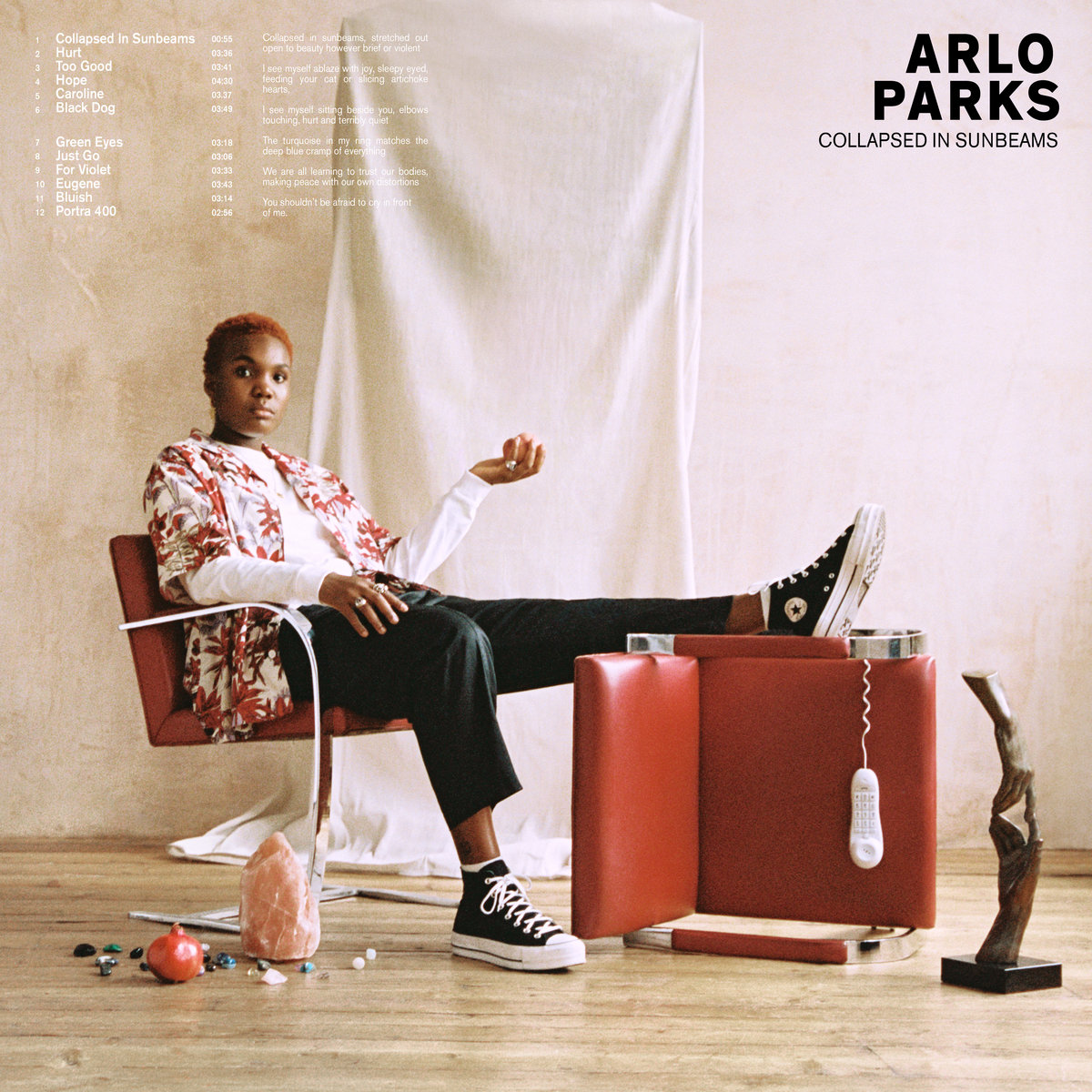 EXQUISITECES: ARLO PARKS: EL GRAN DEBUT DE LA TEMPORADA