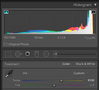 Mark Serrano: White Balance Adjustments with the Histogram