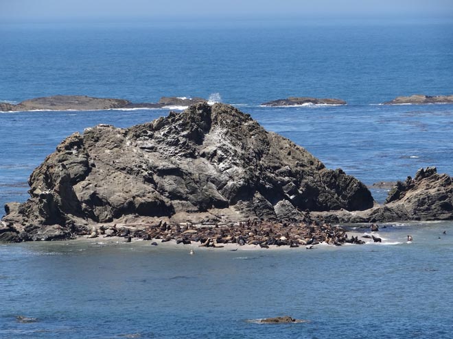 Reflections From the Fence: THE Trip, THE Encore' :: Simpson Reef, near ...