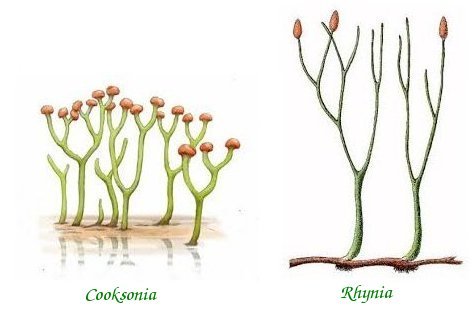 Período Devónico ~ Historia geológica de la tierra con Arturo ANONYMOUS