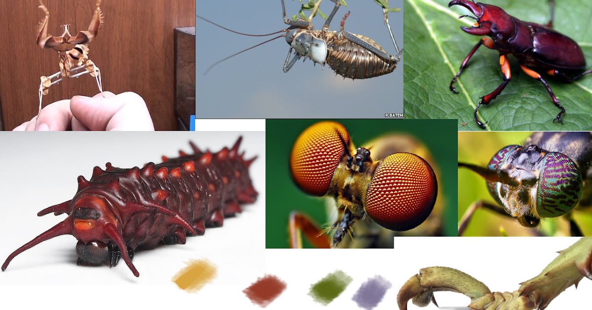 Holliday's Games Arts Blog: Visual Design: Insect Concept Art