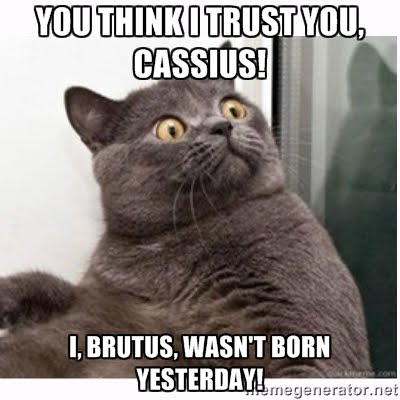 Everyday Idioms!!!: Not be born yesterday