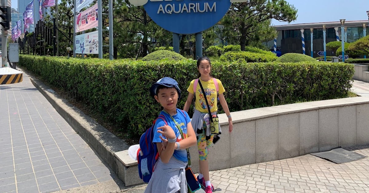 My Little Princess and Prince: 4 Jun 2019 - Busan Day 4: Busan SeaLife ...