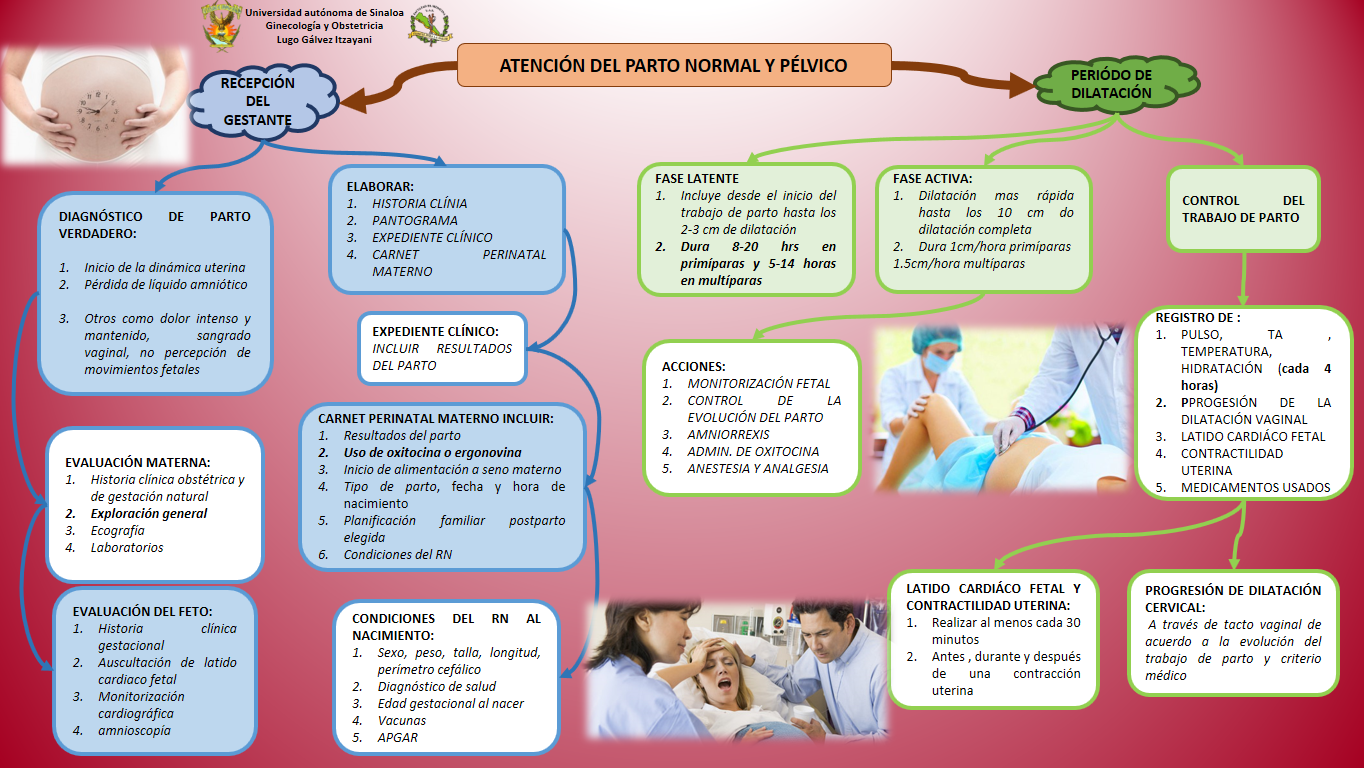 Ginecología y Obstetricia : Atención de Trabajo de Parto Normal y Pelvico