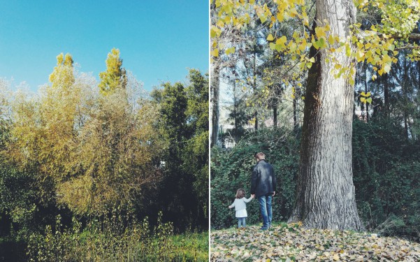 mundo flo: Autumn walks