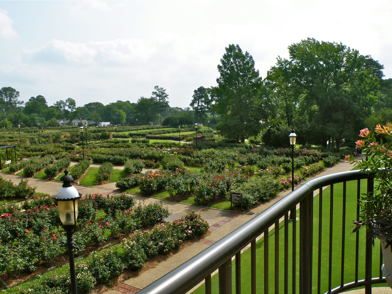 A ROSE BY ANY OTHER NAME … The Tyler Rose Garden Center