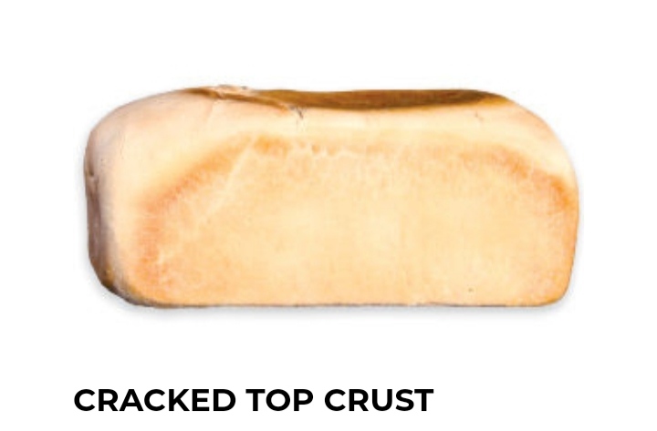 Faults In Bread Making and Solution