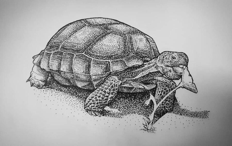 Design Stack: A Blog about Art, Design and Architecture: Drawing Styles ...