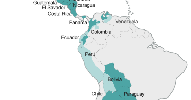 ¿Por qué algunos países de América Latina usan el 'vos' en vez del 'tú ...