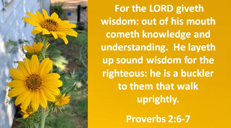 Digging a Well Ministries: 2019