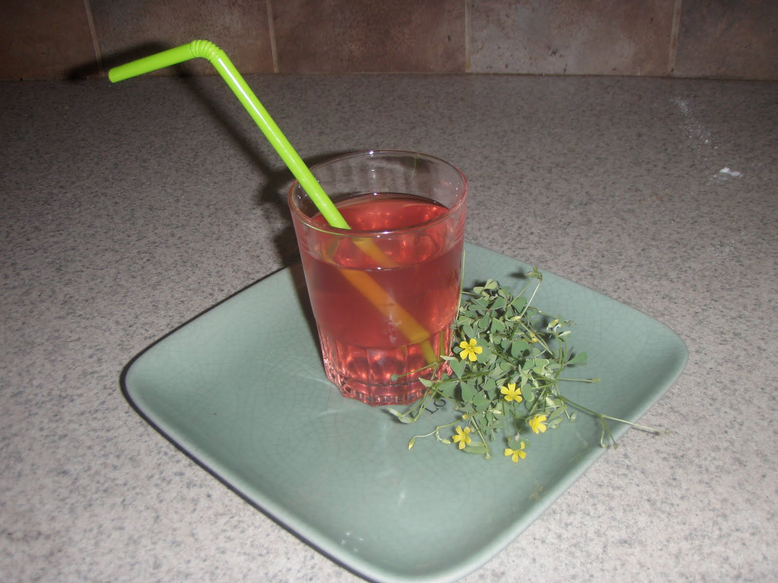 Nature's Rhythm: Wood Sorrel Tea