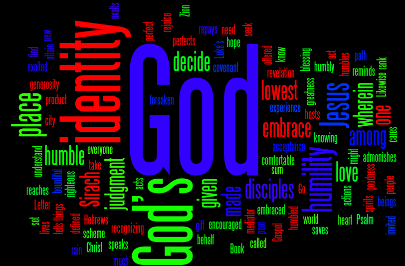 Our Lady of Mount Carmel, Mill Valley: Sunday Gospel Reflection, August ...