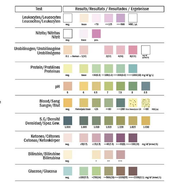 Nursing.learner@enfermería