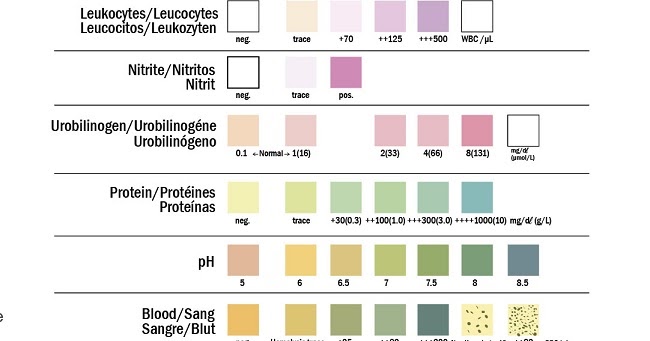 Nursing.learner@enfermería