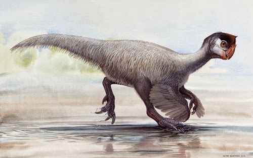 Species New to Science: [Paleontology • 2013] Ajancingenia yanshini ...