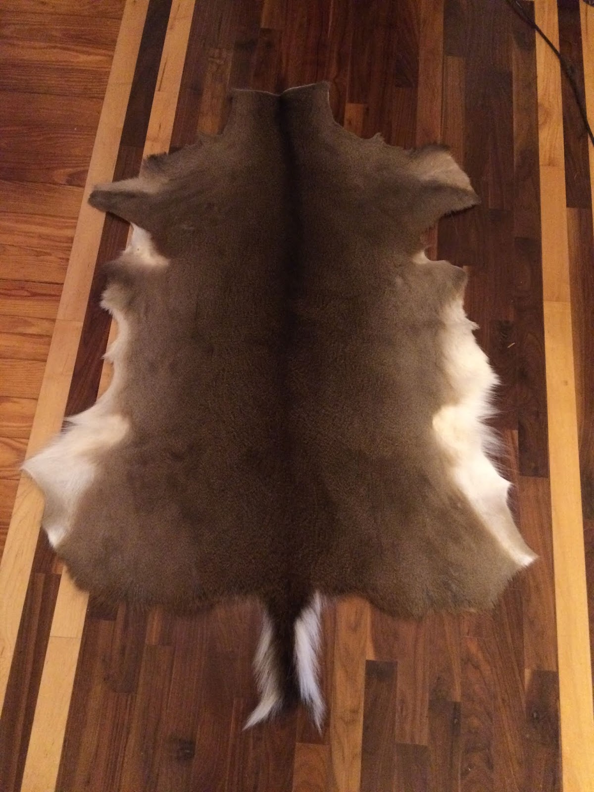Home Tanning Your Deer Hide