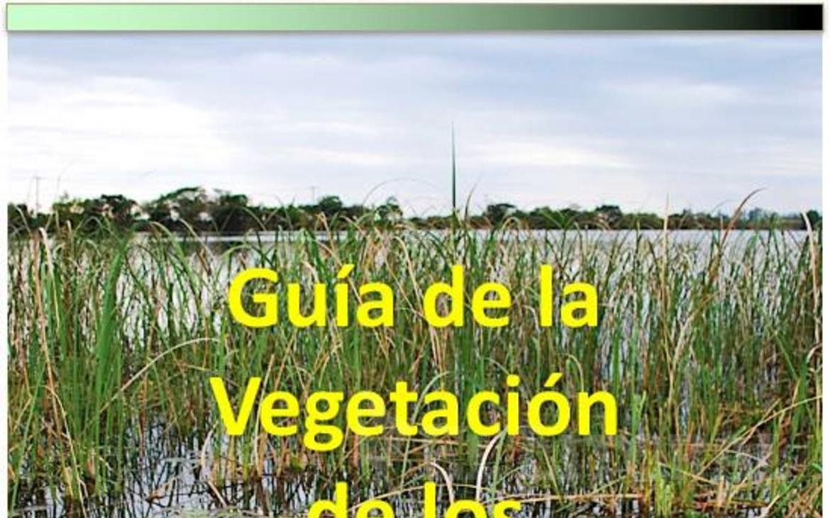 ASOCIACION ECOLOGISTA RIO MOCORETA: PUBLICAN UNA GUÍA SOBRE LA ...